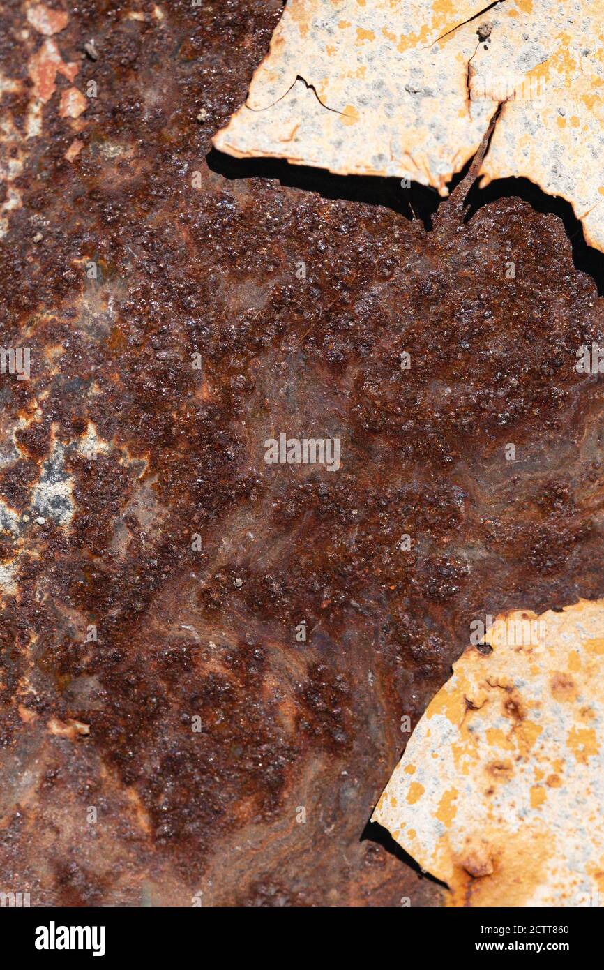 Corroded rusty white metal surface background. Rust stains. Vertical ...