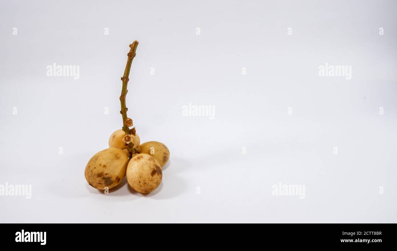Stem of Lanzones fruit on white background Stock Photo - Alamy