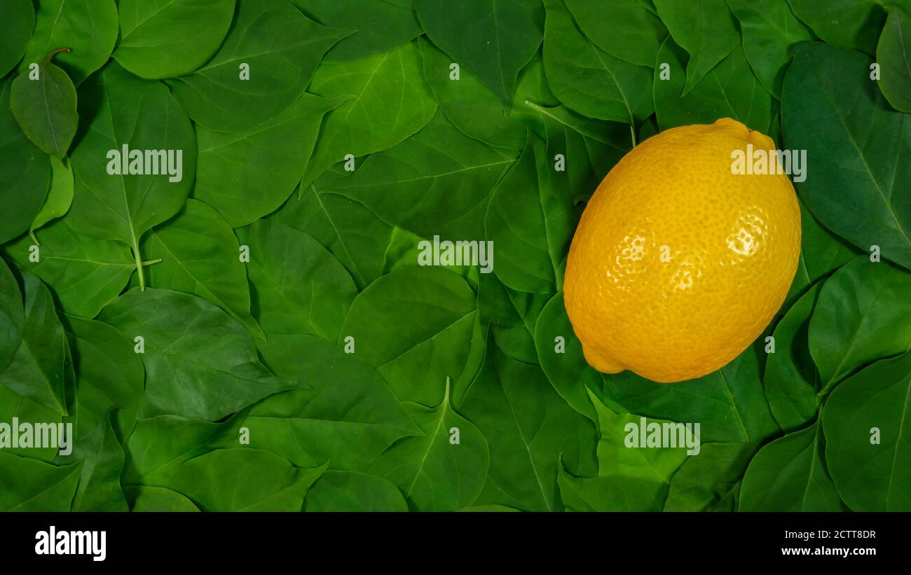Lemon color background hi-res stock photography and images - Alamy