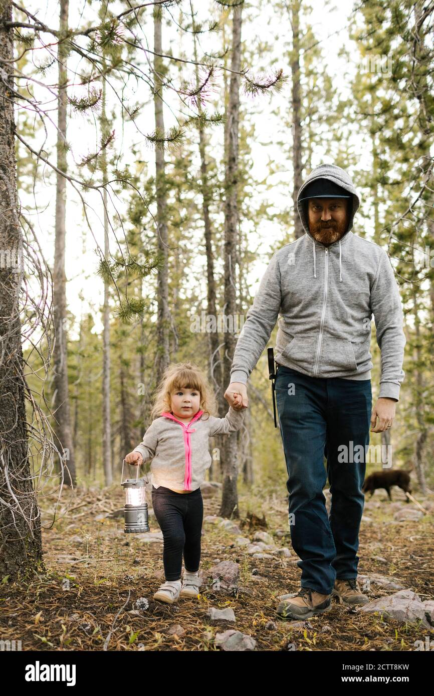Father with daughter (2-3) walking in forest, Wasatch-Cache National ...