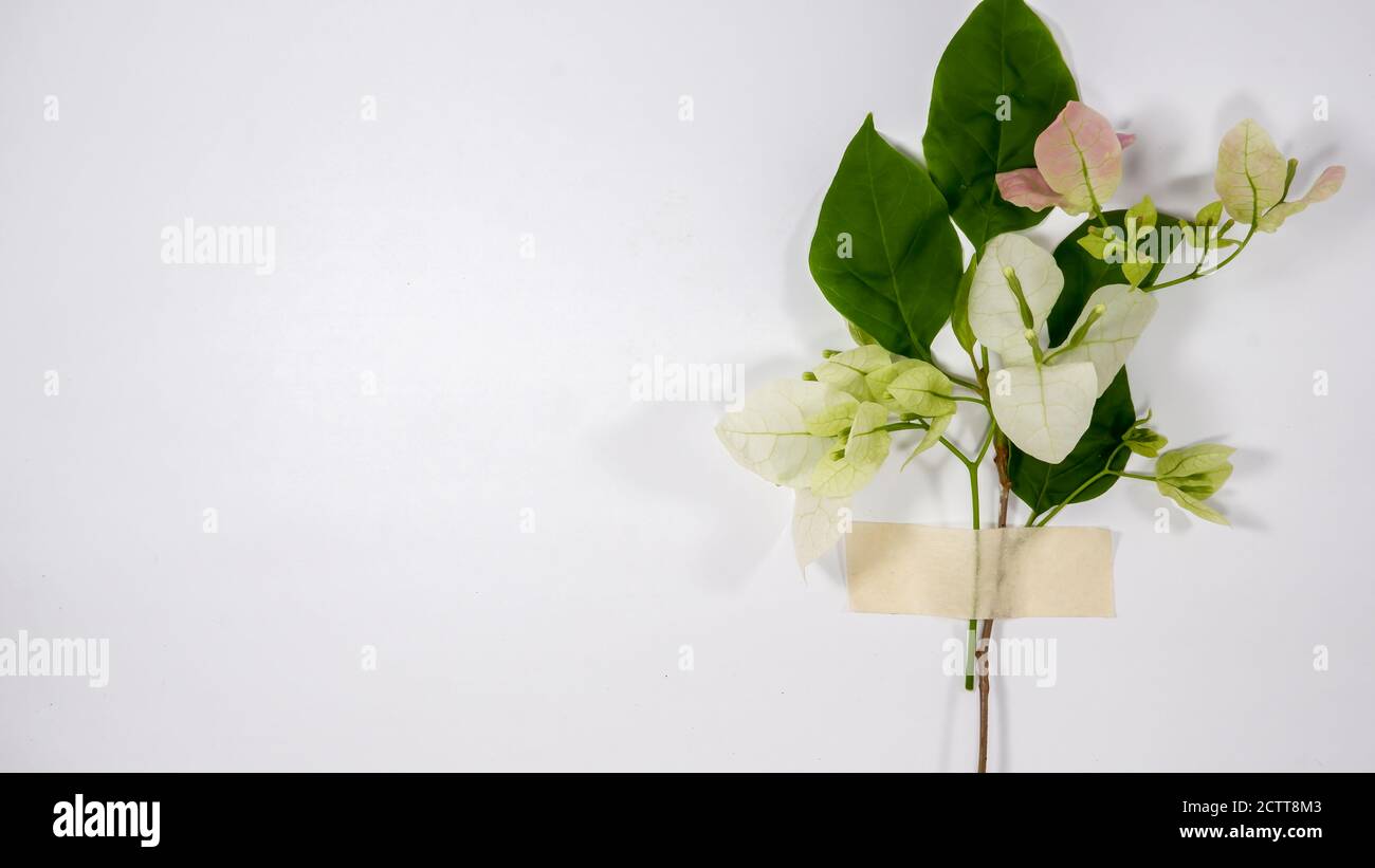 Taped flowers hi-res stock photography and images - Alamy