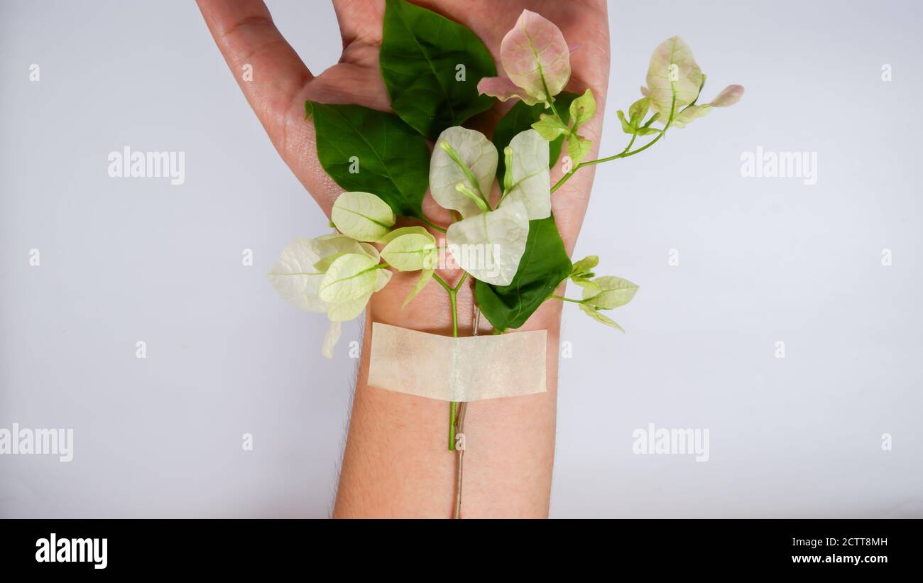 Taped flowers and stems on hand wrist Stock Photo - Alamy