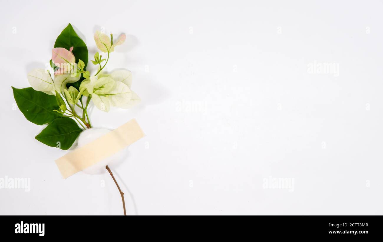 Taped flowers and stems on white background Stock Photo - Alamy