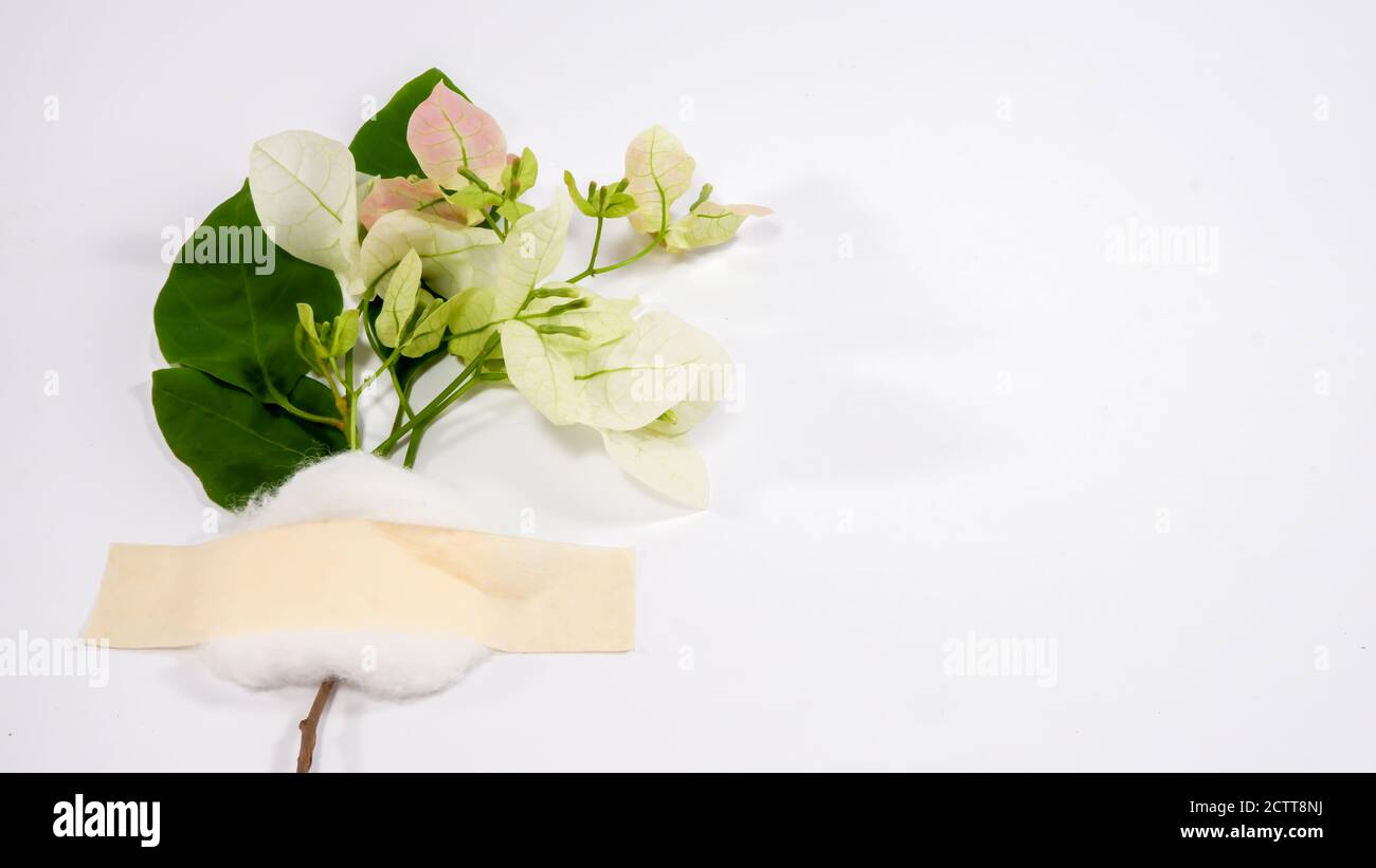 Taped flowers and stems on white background Stock Photo - Alamy