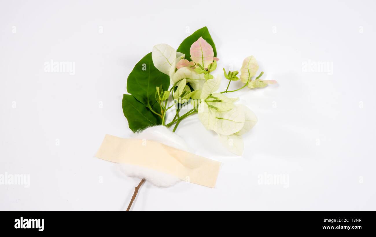 Taped flowers and stems on white background Stock Photo - Alamy