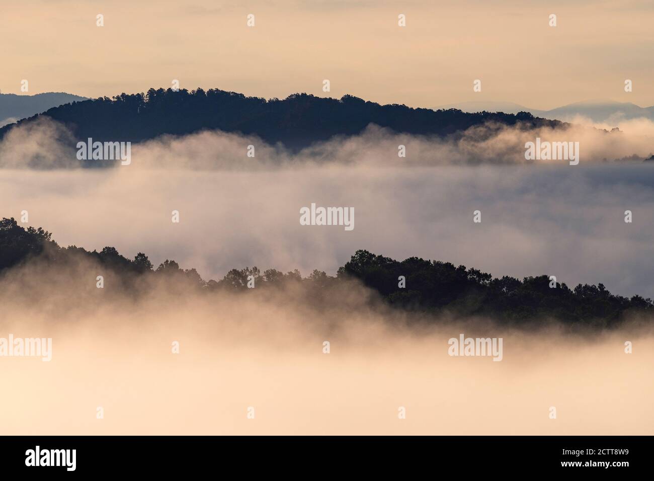 FOG IN THE HOLLOWS OF BLUE RIDGE MOUNTAINS, NORTHWEST GA, USA Stock ...