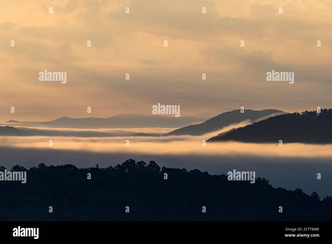 FOG IN THE HOLLOWS OF BLUE RIDGE MOUNTAINS, NORTHWEST GA, USA Stock ...