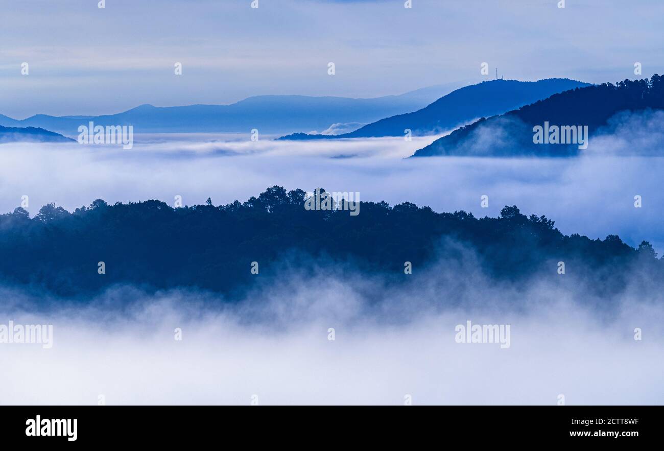 FOG IN THE HOLLOWS OF BLUE RIDGE MOUNTAINS, NORTHWEST GA, USA Stock ...