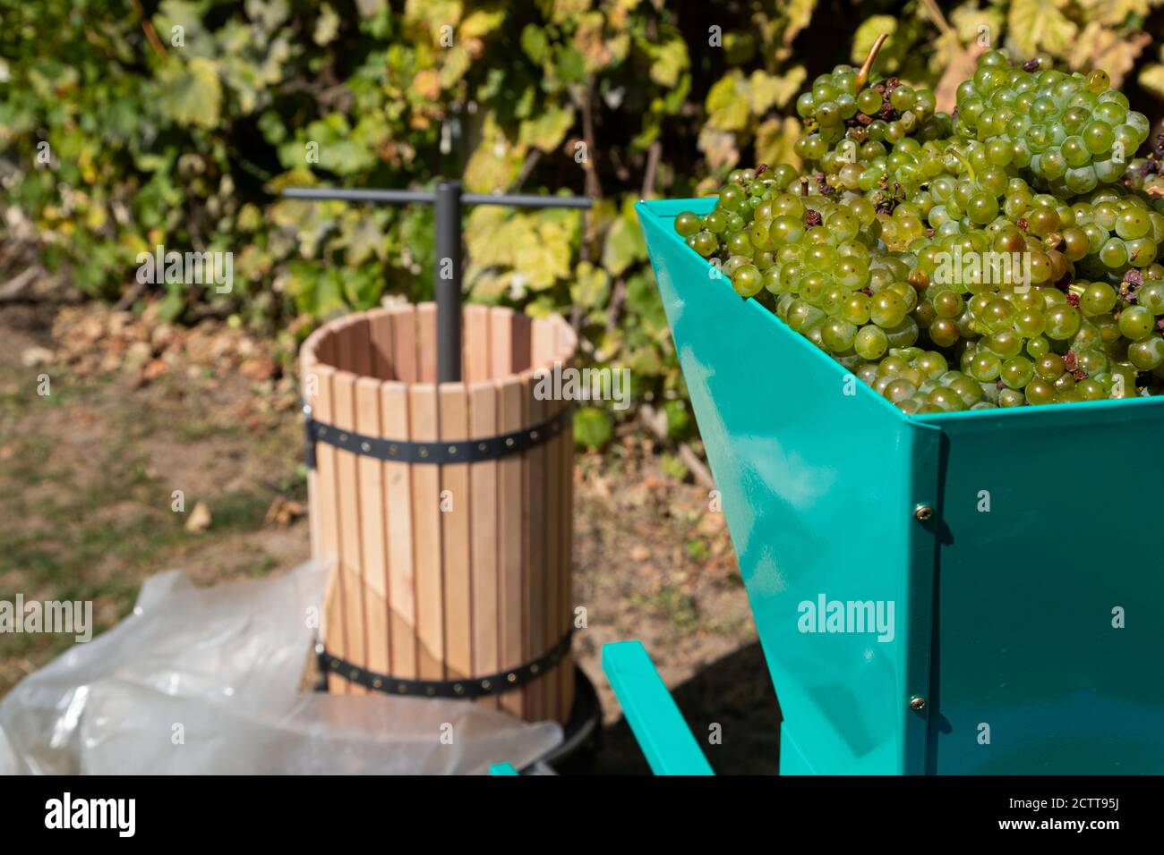 Cider extraction hi-res stock photography and images - Alamy
