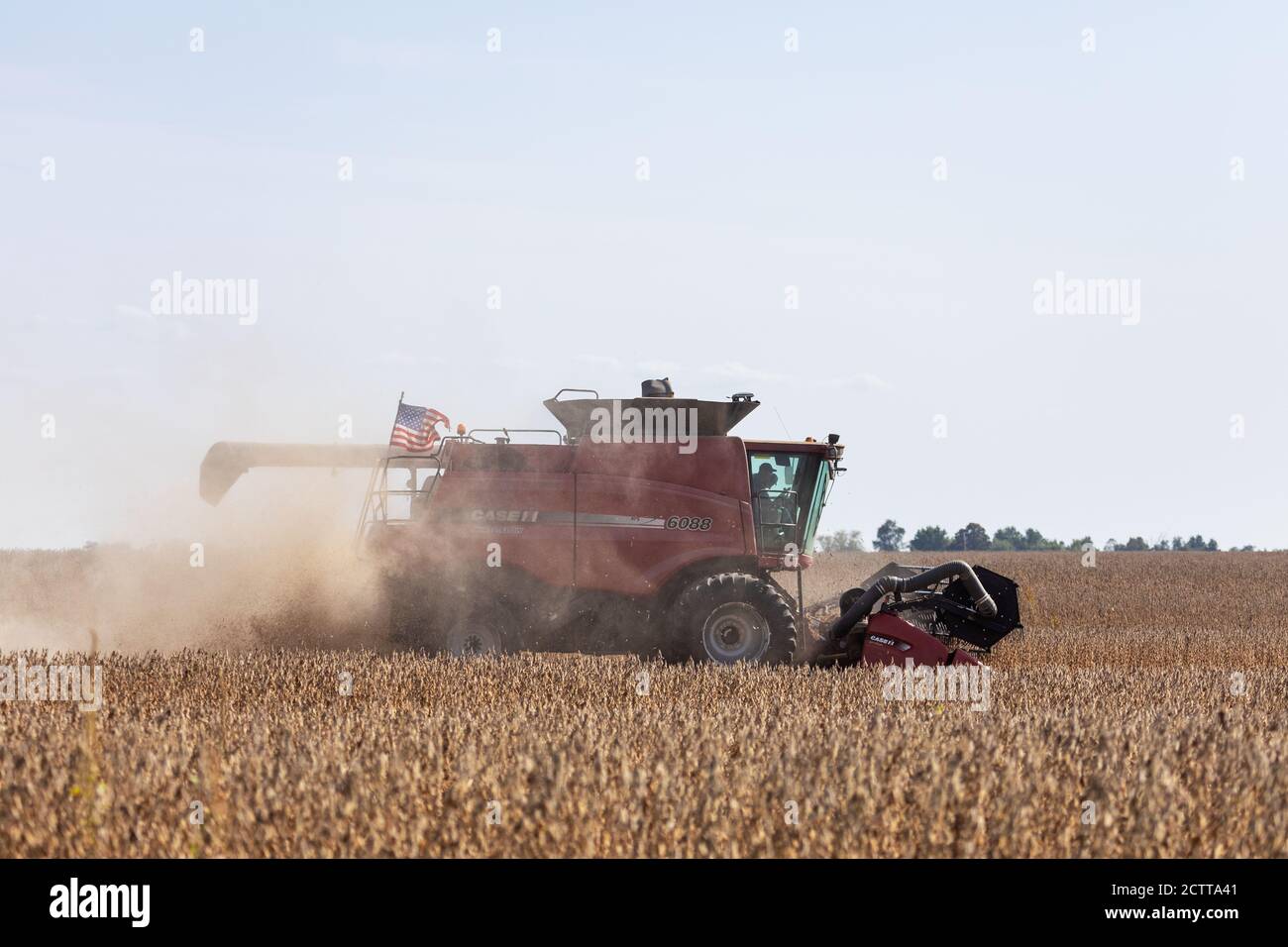 American Flag Field Corn High Resolution Stock Photography and Images ...