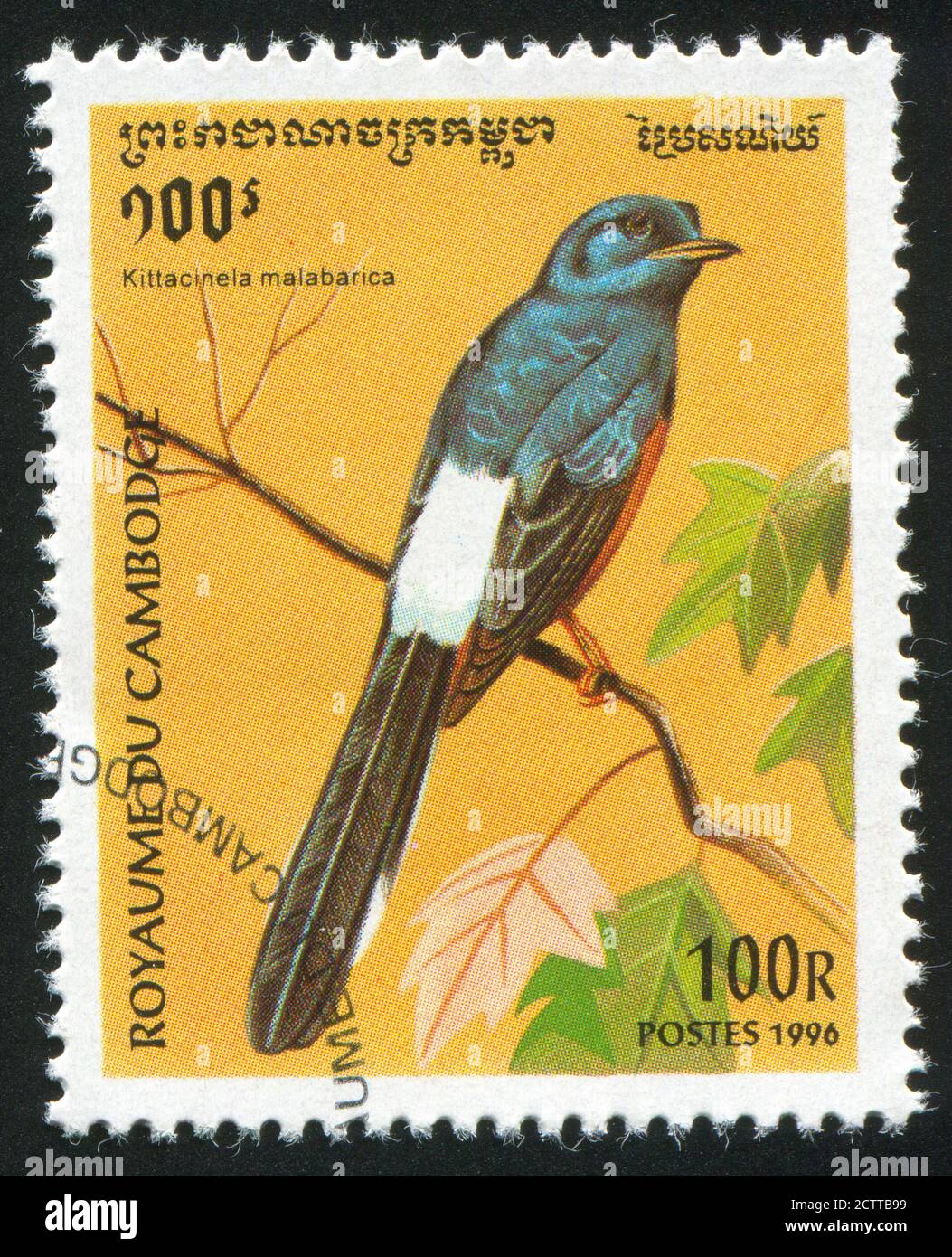 CAMBODIA - CIRCA 1996: stamp printed by Cambodia, shows bird ...