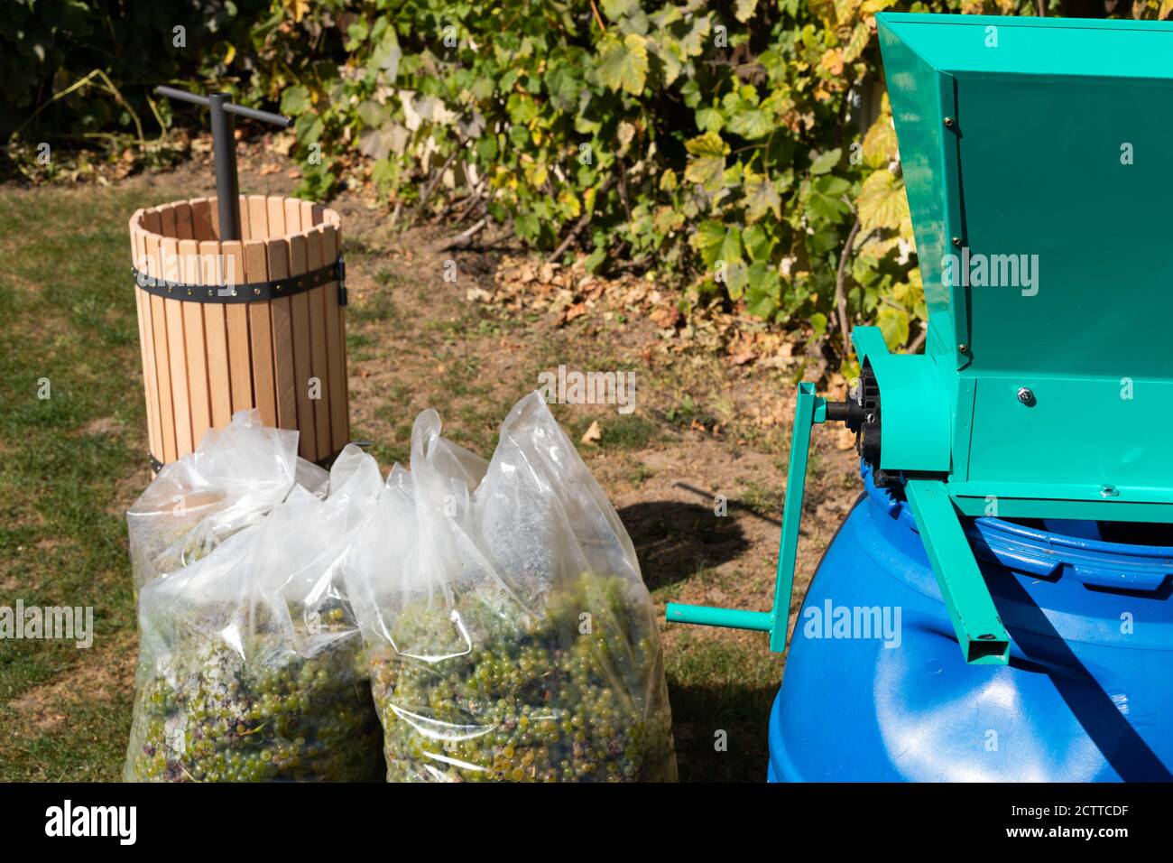 Traditional wine making process: wine press and fresh harvested grapes ...