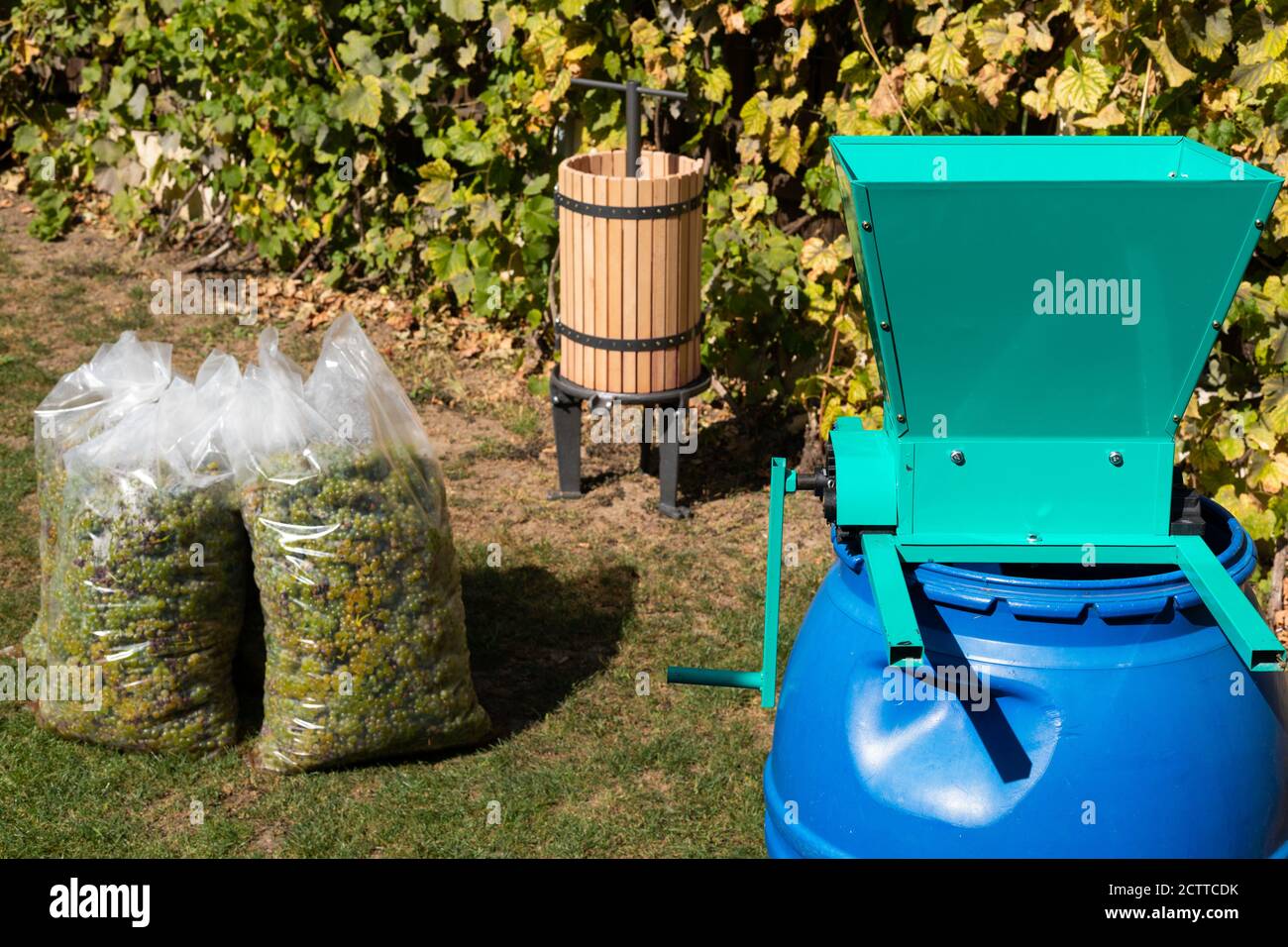 Traditional wine making process: wine press and fresh harvested grapes ...
