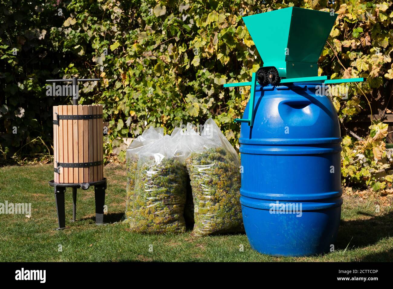 Traditional wine making process: wine press and fresh harvested grapes ...