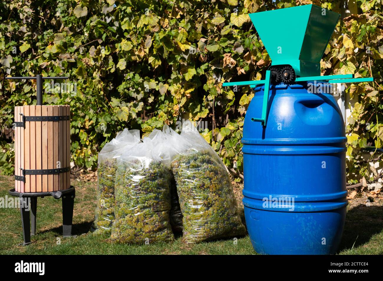 Traditional wine making process: wine press and fresh harvested grapes ...