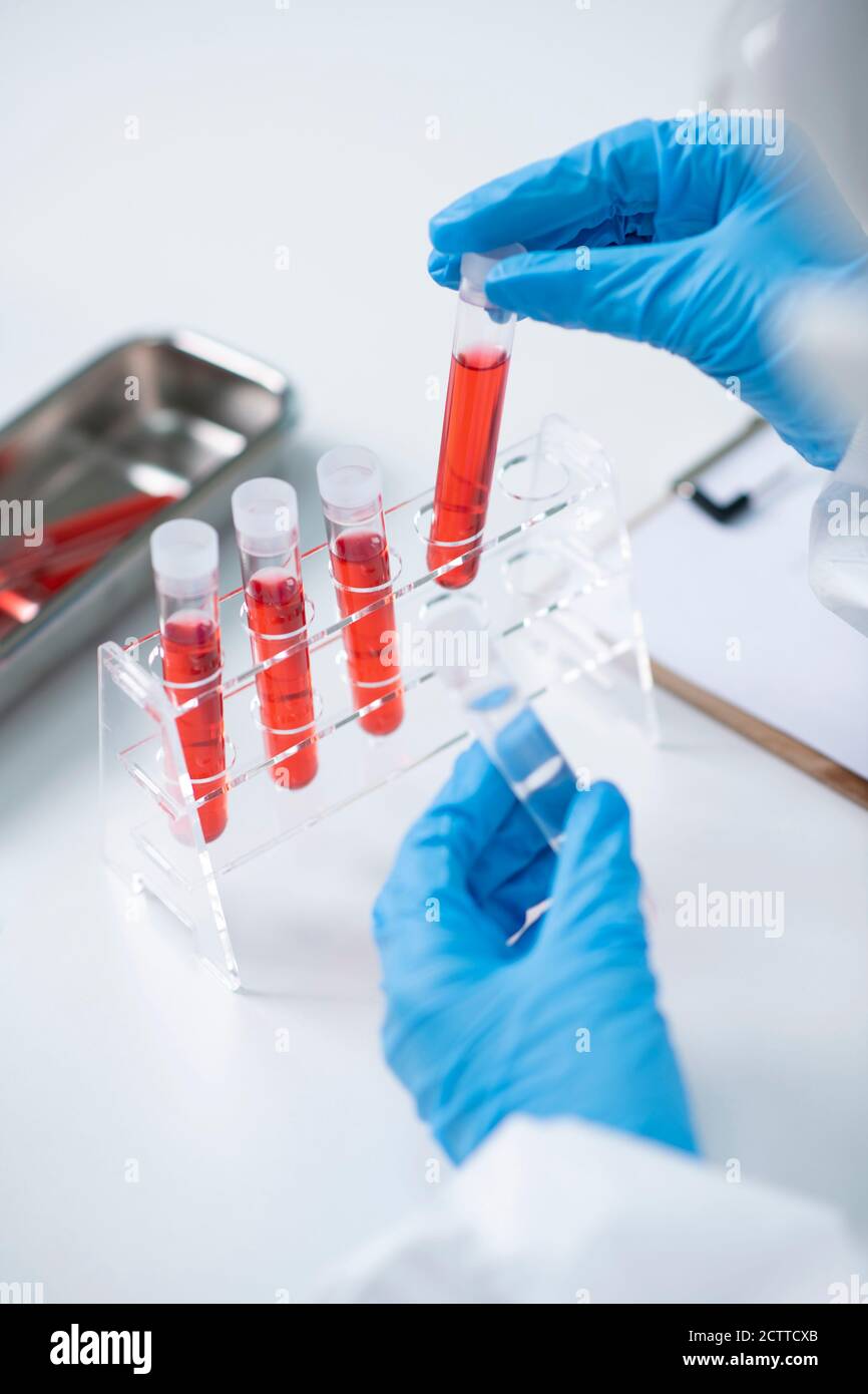 Science, chemistry, biology, and medicine concept, scientist with ...