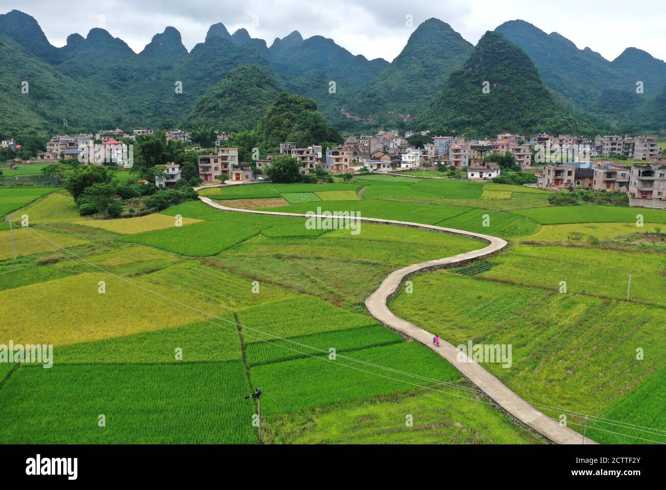 Pingle hi-res stock photography and images - Alamy