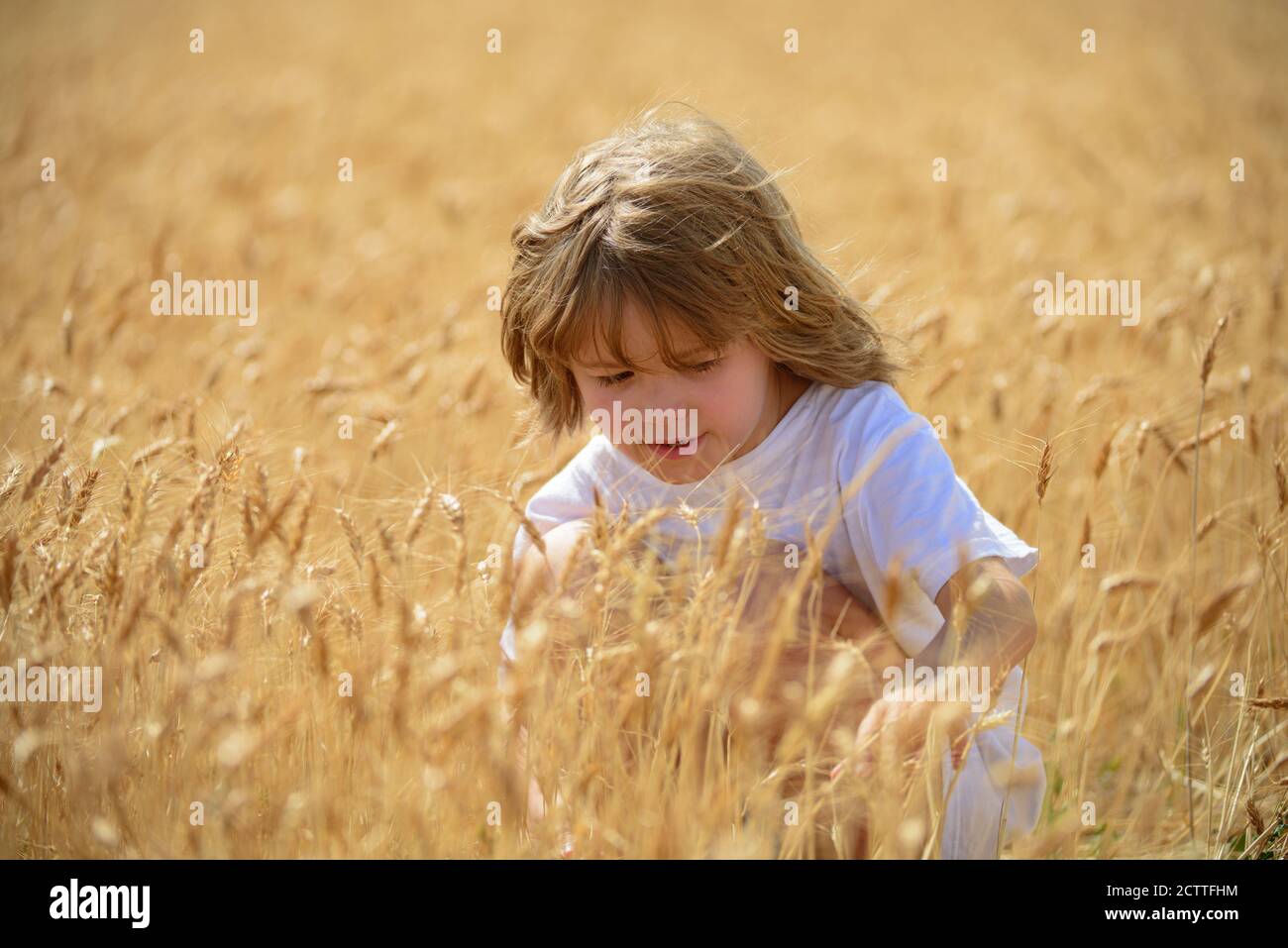Farmer ground flour hi-res stock photography and images - Alamy