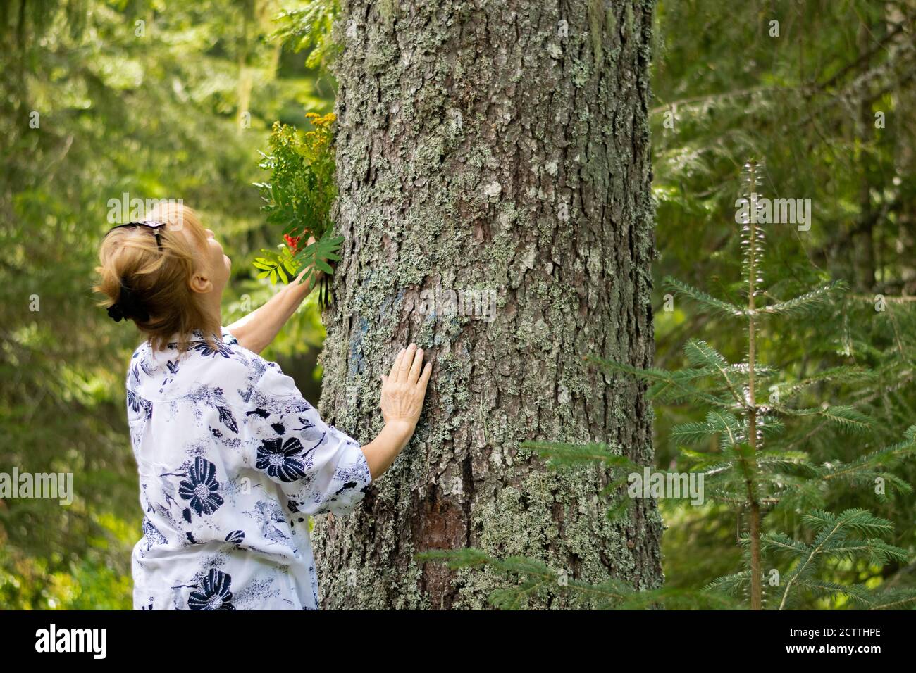 Senior woman in nature. Outdoor healthy lifestyle Stock Photo - Alamy
