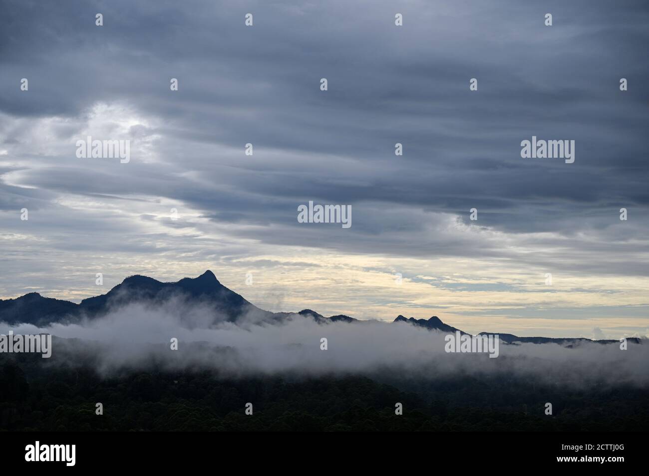 Mount warning nsw hi-res stock photography and images - Alamy
