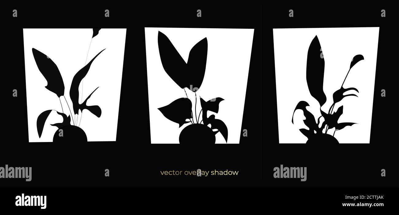 Background window shadow Stock Vector Images - Alamy