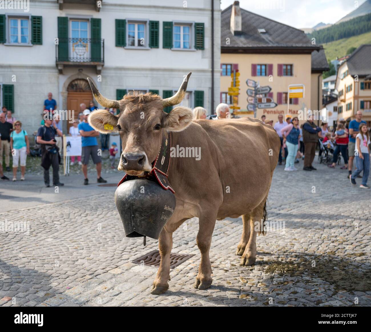 Alpabzug hi-res stock photography and images - Alamy