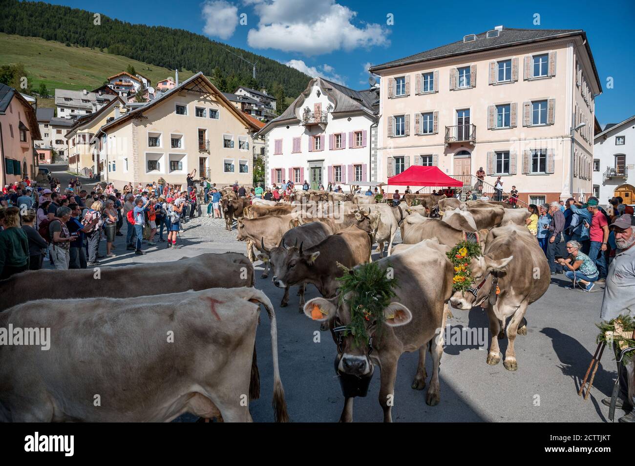 Alpabzug in Sent, Engadin Stock Photo - Alamy