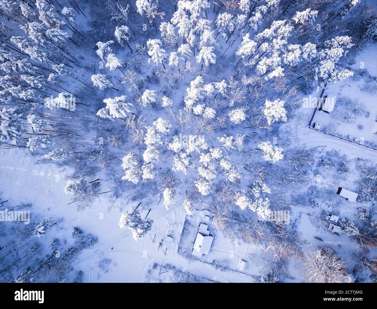 Top heavy christmas tree hi-res stock photography and images - Alamy