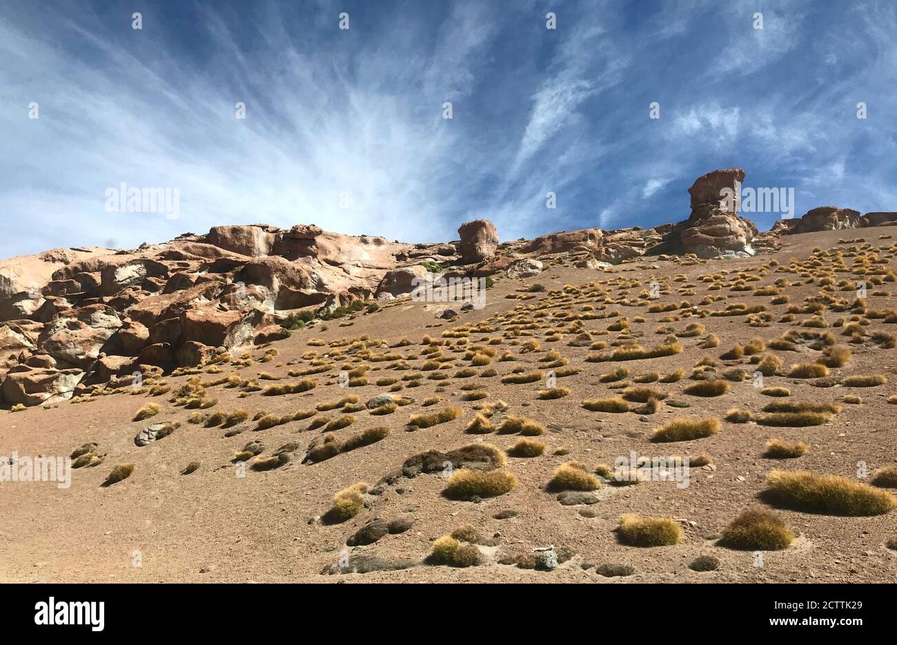 Scenic wilderness nature, Uyuni, Bolivia, South America. Wild natural ...