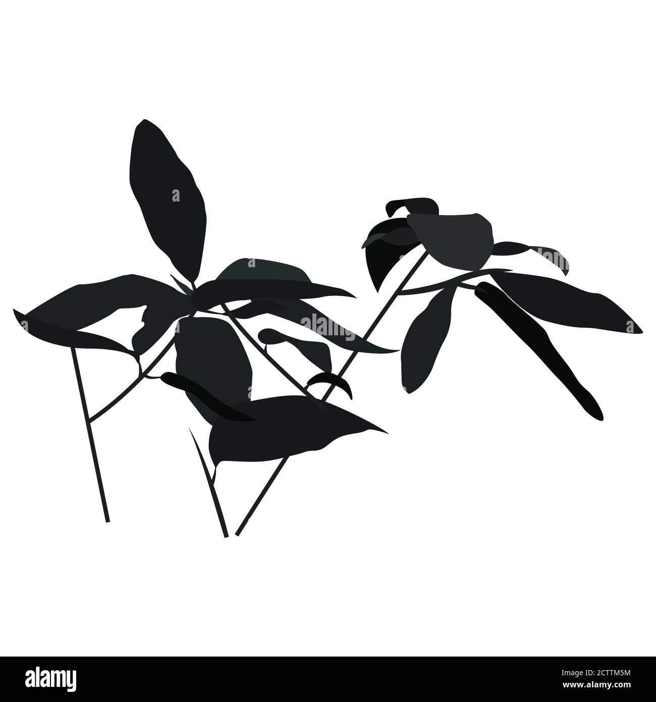 Background blurred shadows branches Stock Vector Images - Alamy