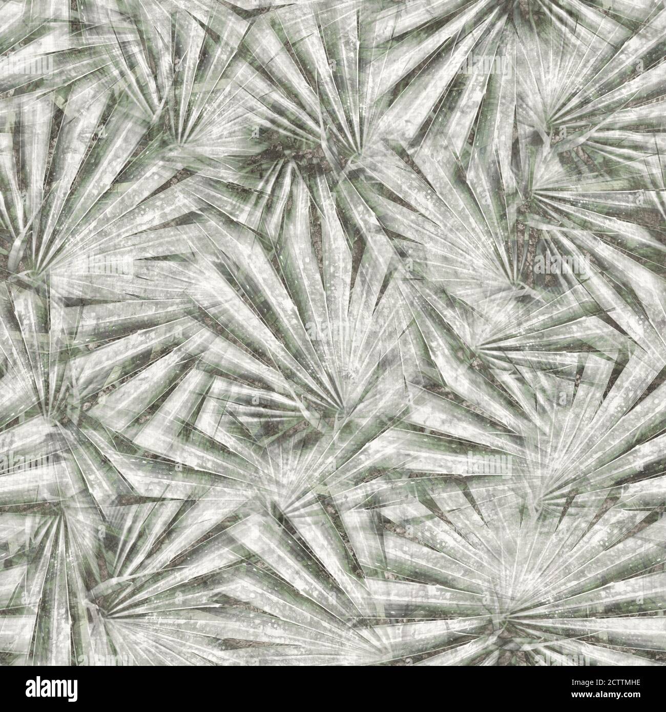 Neutral tropical palm tree leaves seamless pattern Stock Photo - Alamy