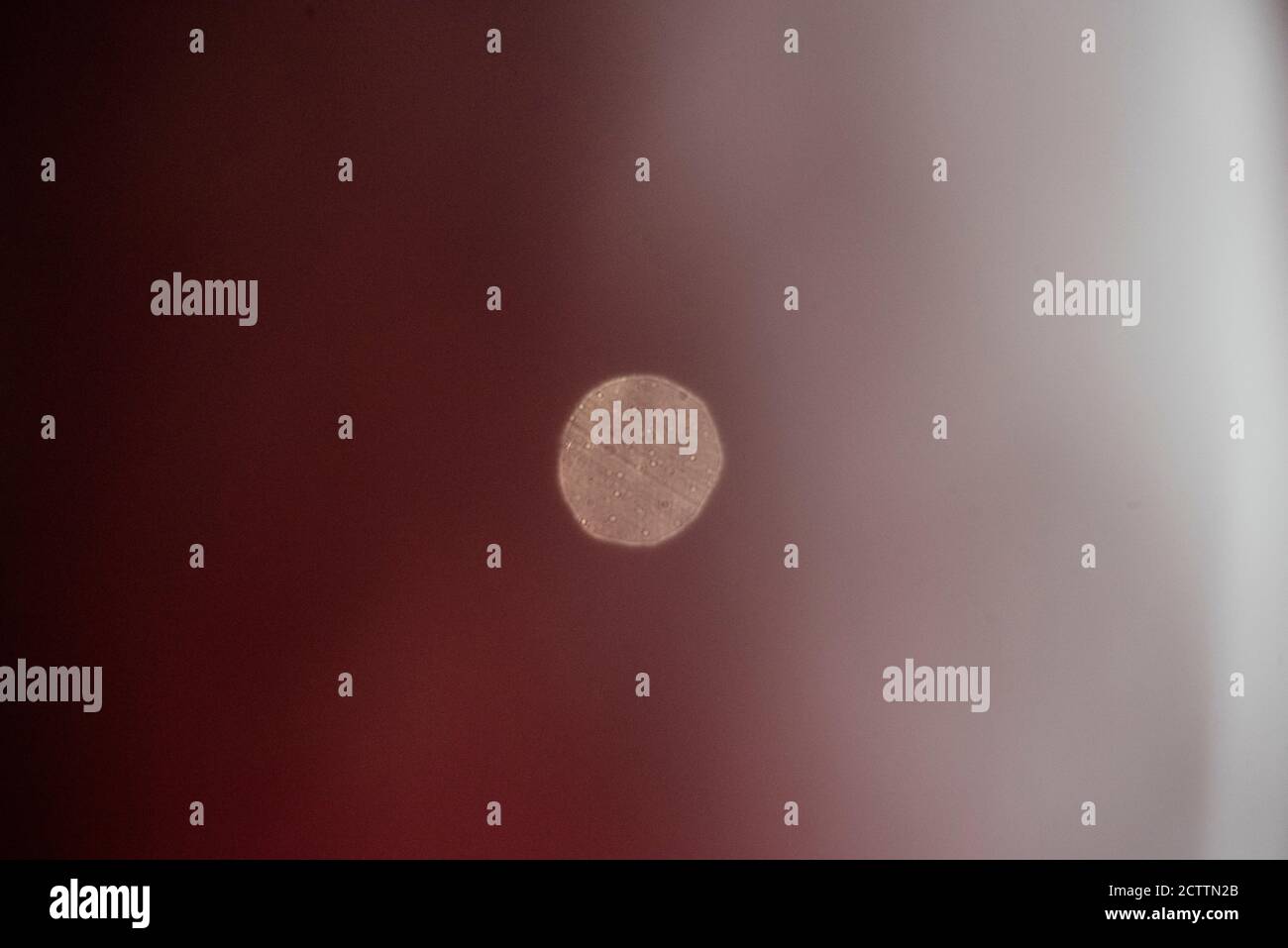 circle or round shaped object, pattern and texture in lighting Stock ...