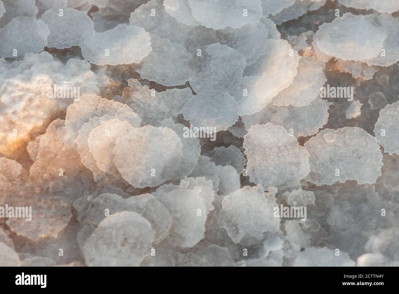 Close up texture of salt crystals in the water of the estuary. Full ...