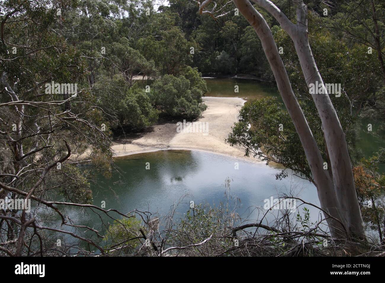 Garigal National Park, Sydney, NSW, Australia Stock Photo - Alamy