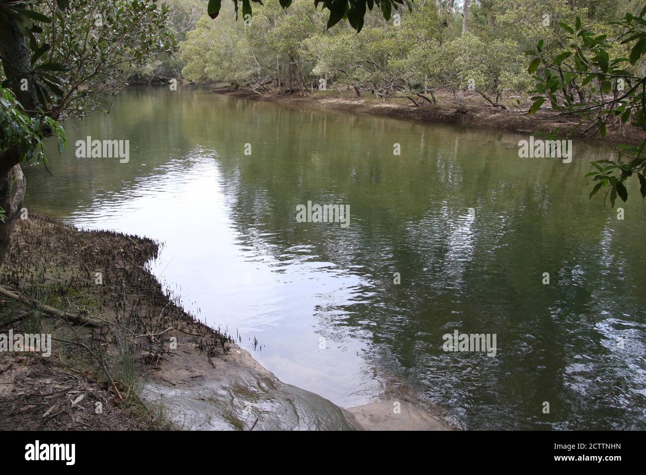 Garigal National Park, Sydney, NSW, Australia Stock Photo - Alamy
