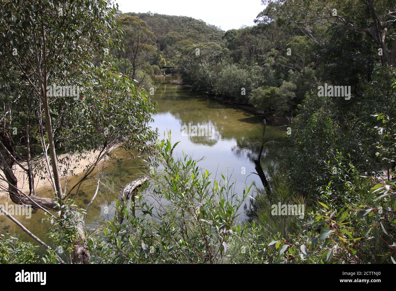 Garigal National Park, Sydney, NSW, Australia Stock Photo - Alamy