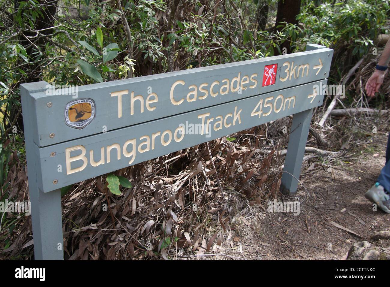 Garigal national park sydney hi-res stock photography and images - Alamy