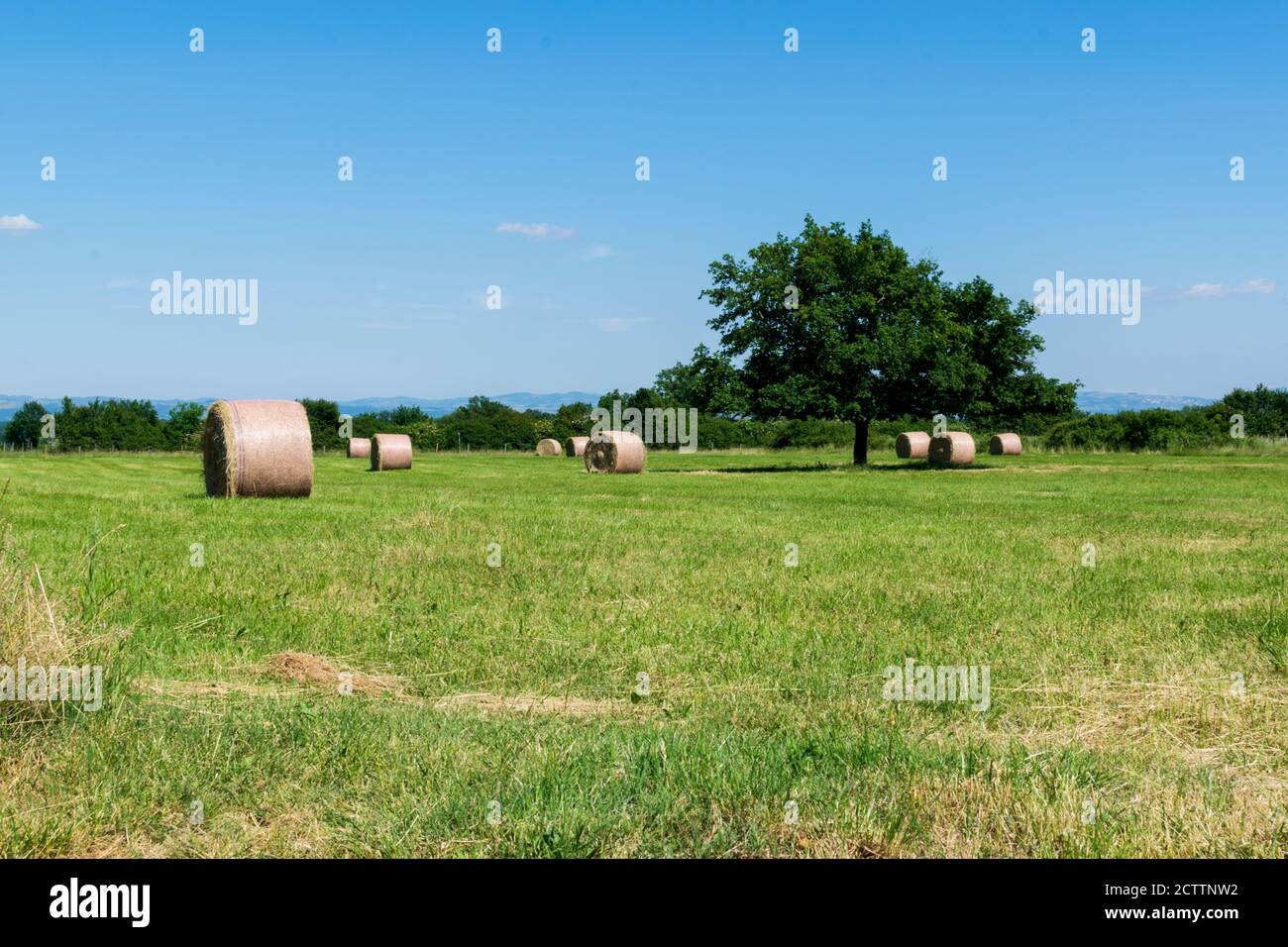 Fourrage agricole hi-res stock photography and images - Alamy