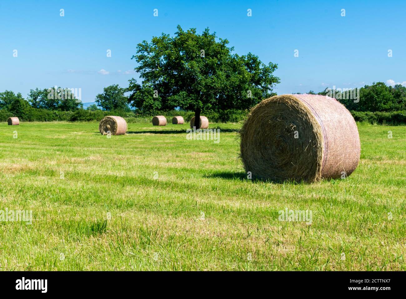 Fourrage agricole hi-res stock photography and images - Alamy