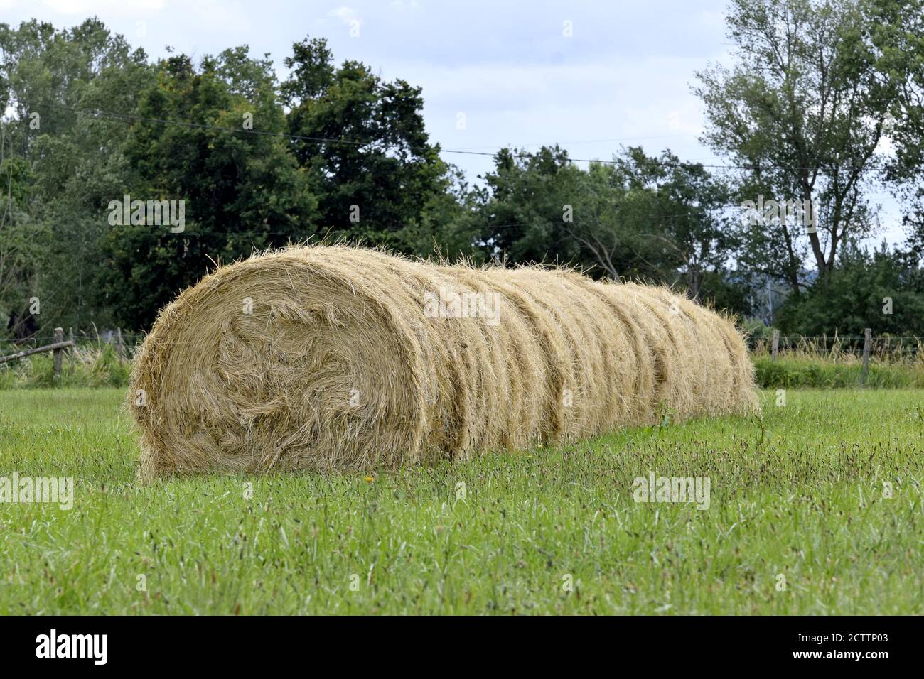 Fourrage hi-res stock photography and images - Alamy