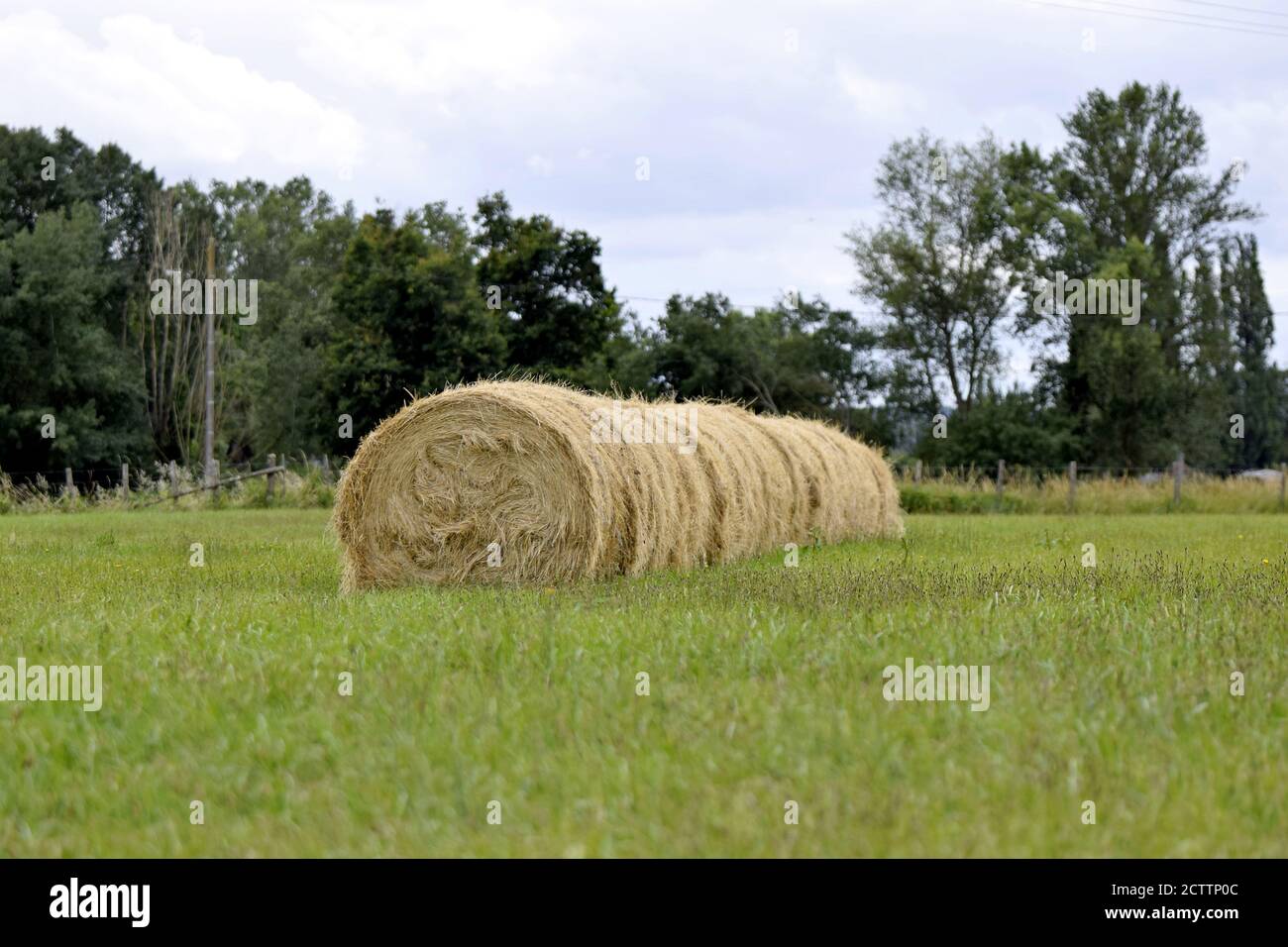 Fourrage agricole hi-res stock photography and images - Alamy