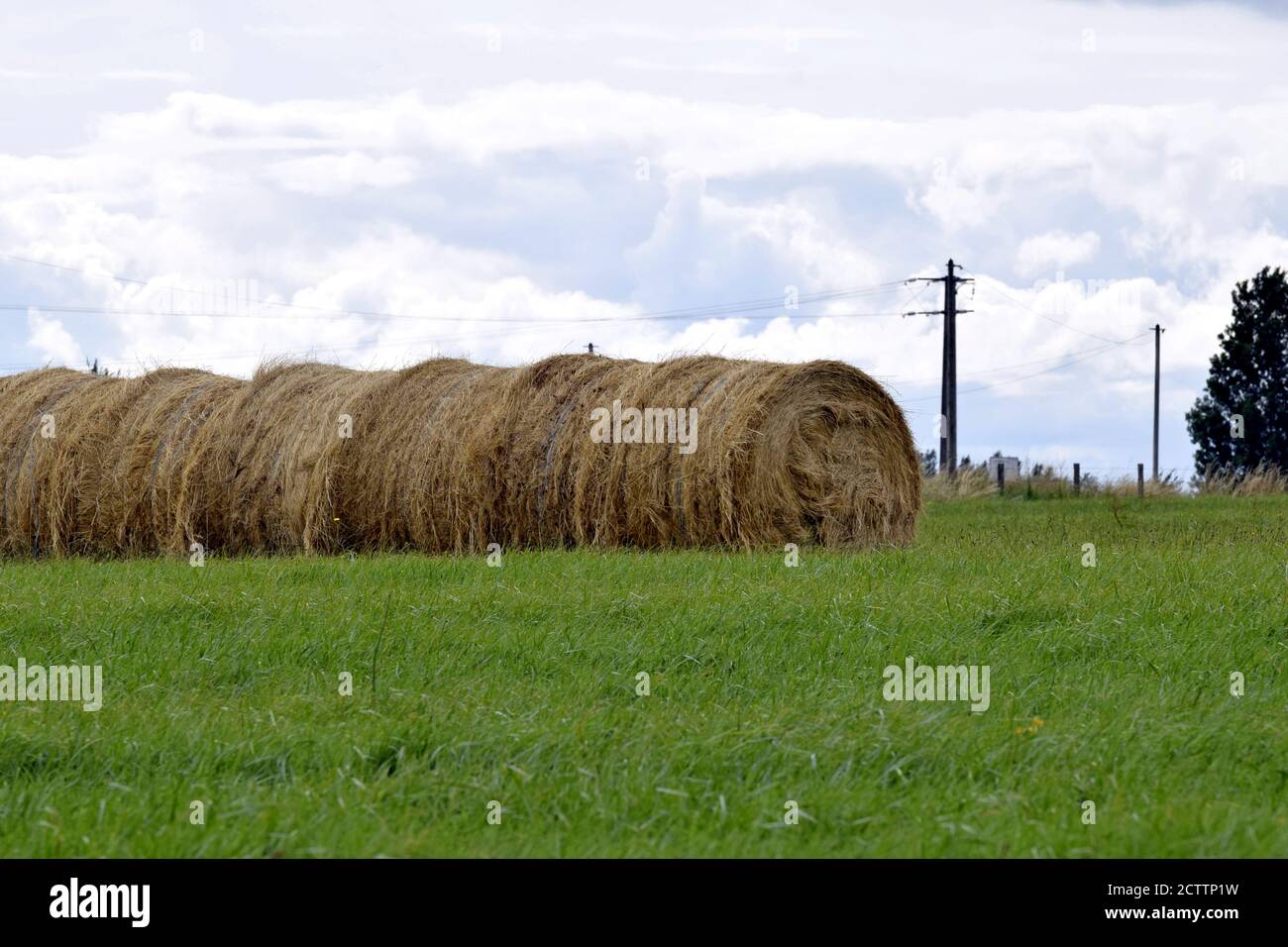 Fourrage hi-res stock photography and images - Alamy