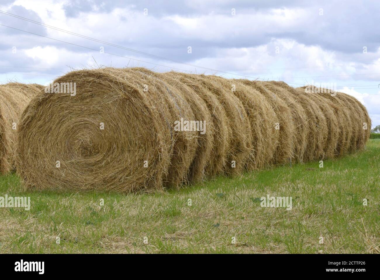 Fourrage hi-res stock photography and images - Alamy