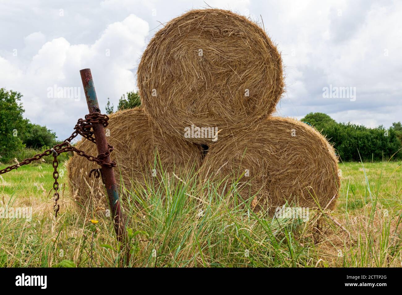 Fourrage agricole hi-res stock photography and images - Alamy