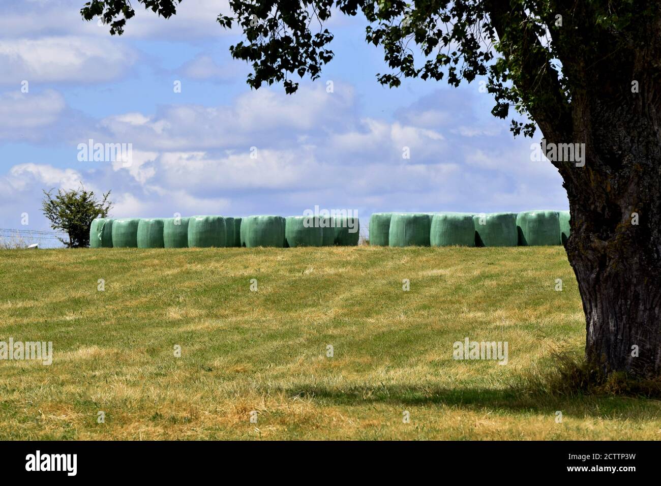 Fermier hi-res stock photography and images - Alamy