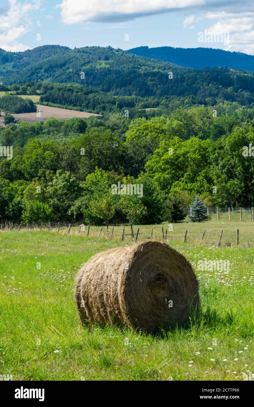 Fourrage agricole hi-res stock photography and images - Alamy