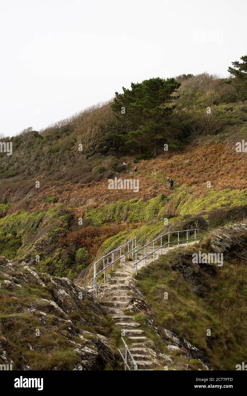 Stairs on cliff edge leading to south west coastal path, cornwall, uk ...
