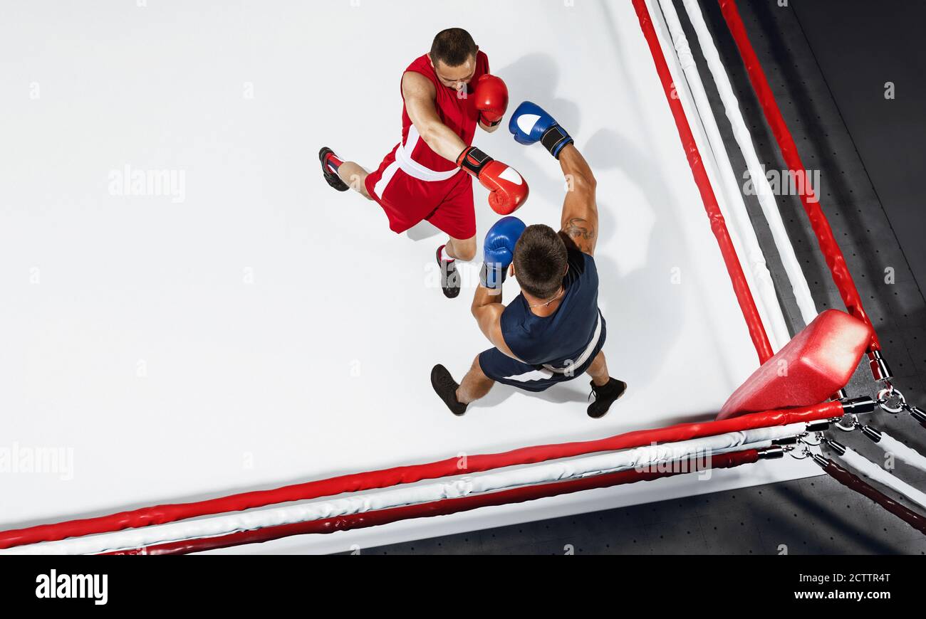 Fire. Two professional boxers boxing on white background on the ring ...