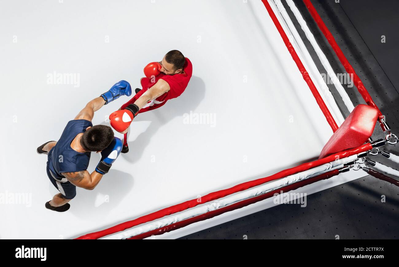 Fire. Two professional boxers boxing on white background on the ring ...