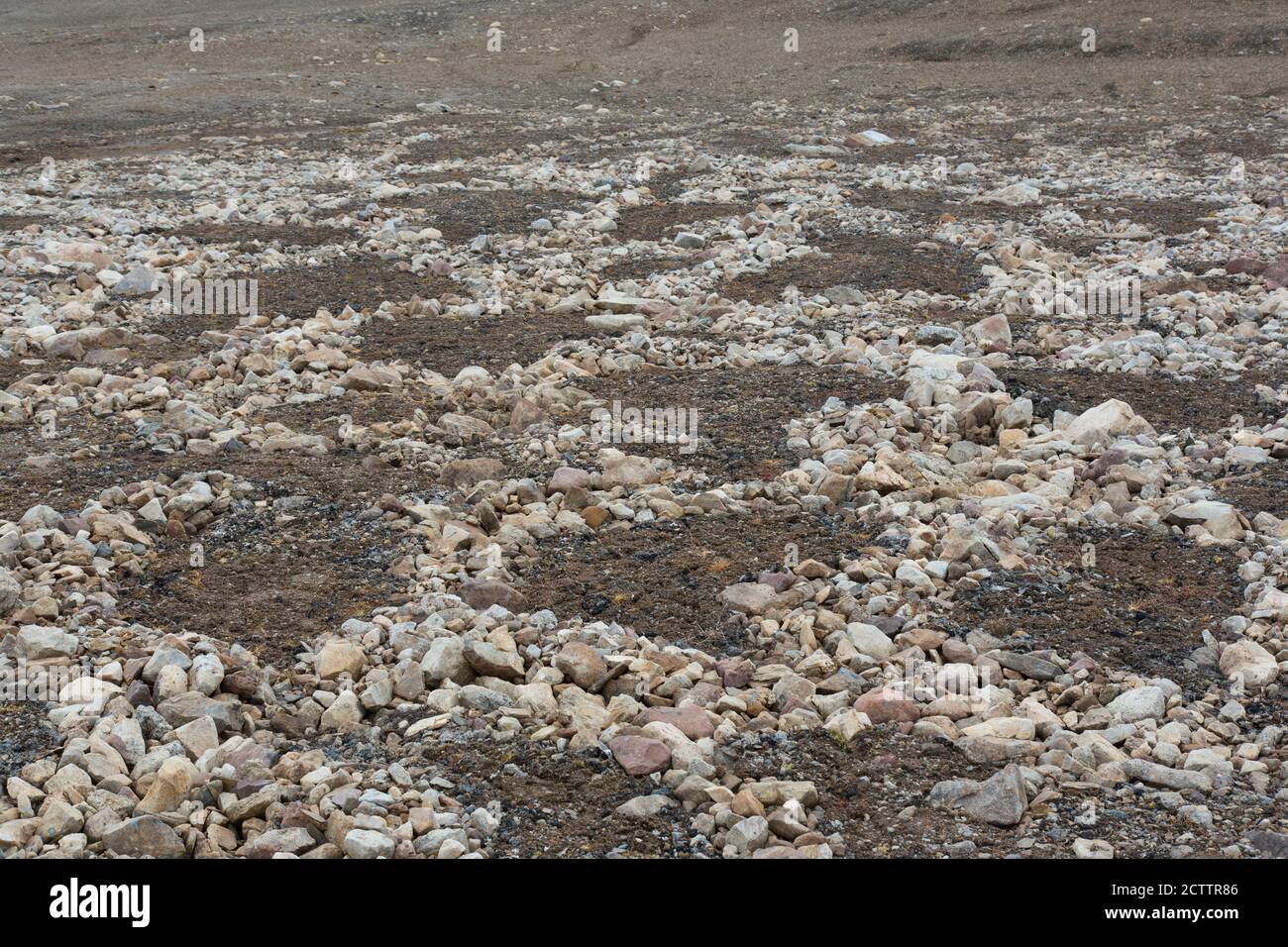 Patterned ground. Svalbard Stock Photo - Alamy